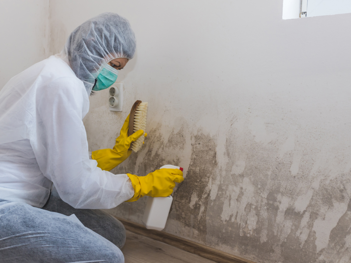 The Science of Restoration: Expert Techniques for Damage Assessment and ...